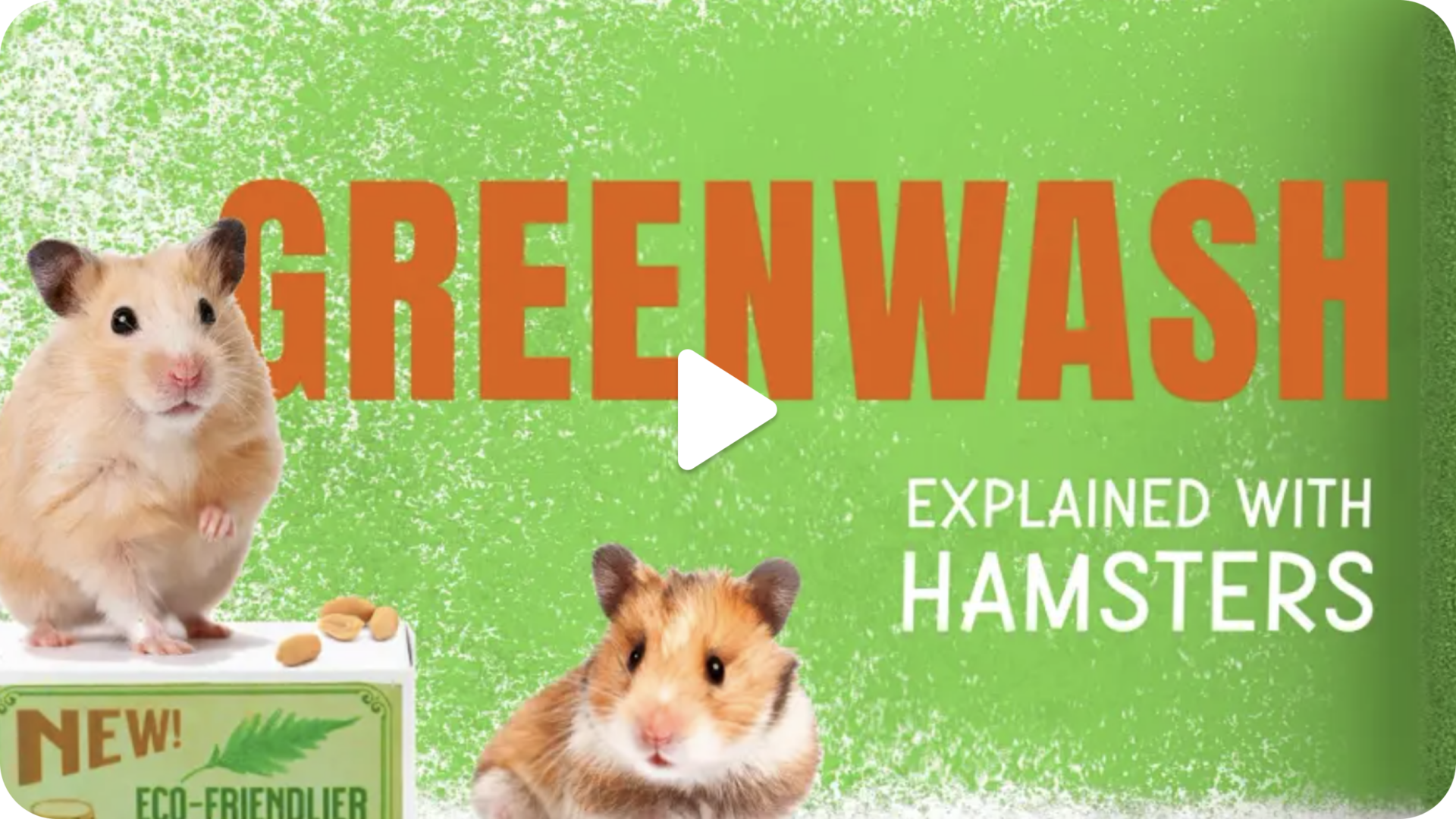 Navigate Misinfo & Greenwashing | StepZero