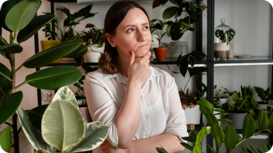 Sustainability 101 | StepZero