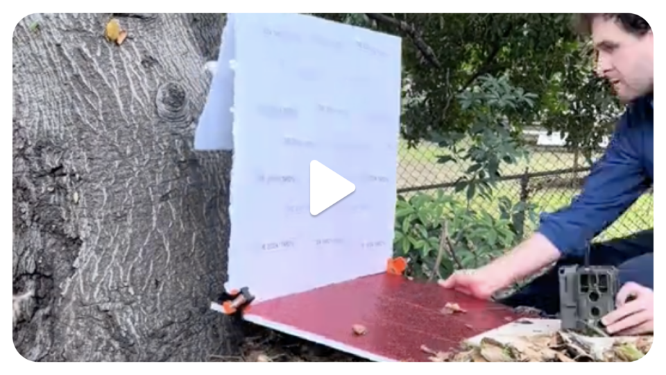 Tips & Tricks on Climate Communication | StepZero